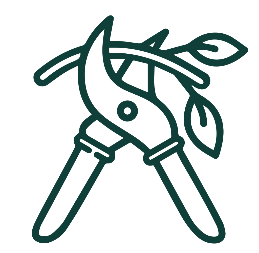 Tree Trimming - S.B. Kani