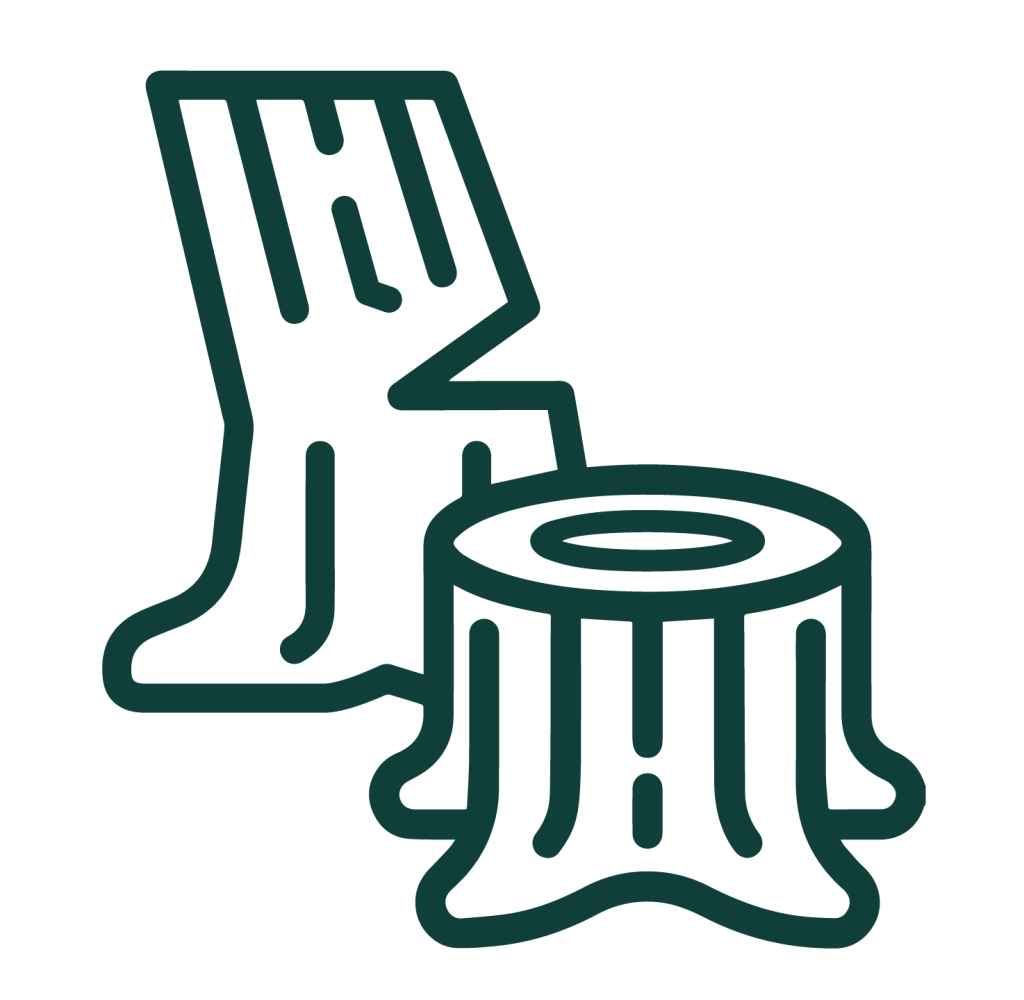 Tree Trimming - S.B. Kani